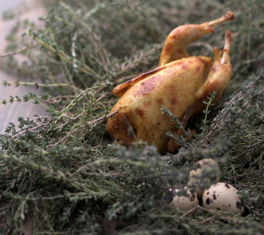 Elevage de cailles dans les Vosges - La Caille des Vosges